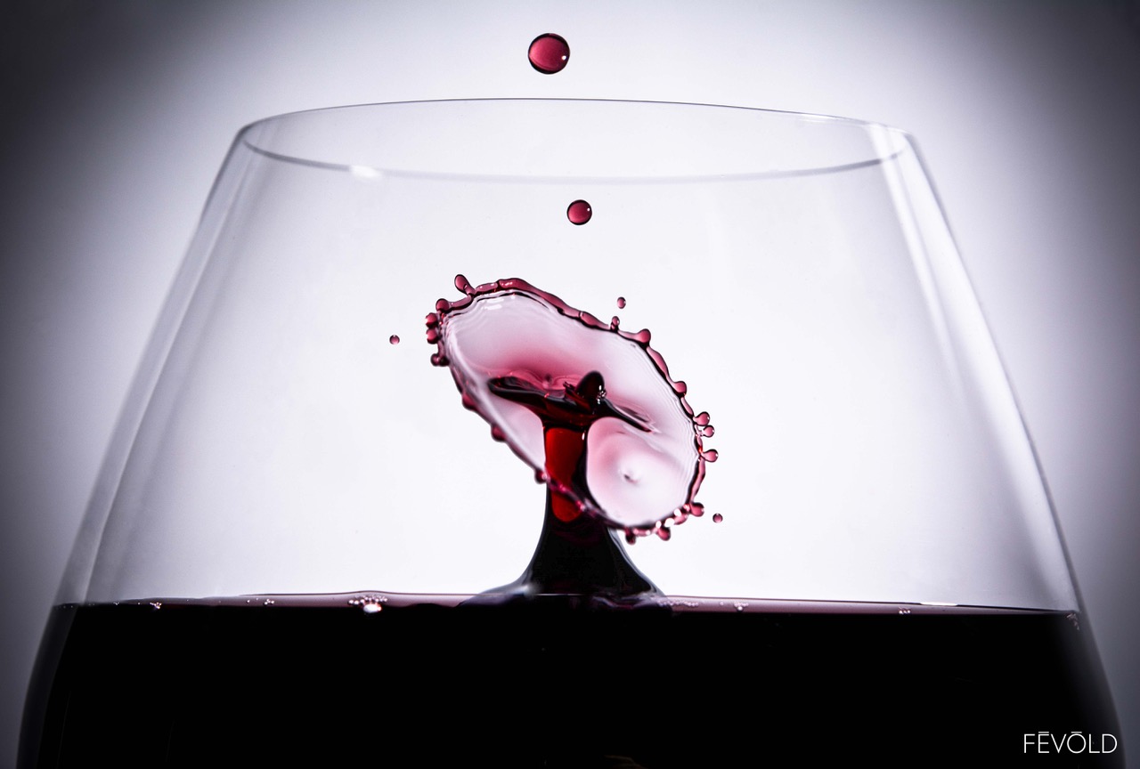 Fevold Photography Art Show - Long X Arts Foundation